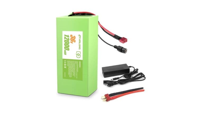 10 Best Batteries for Electric Bikes in 2024